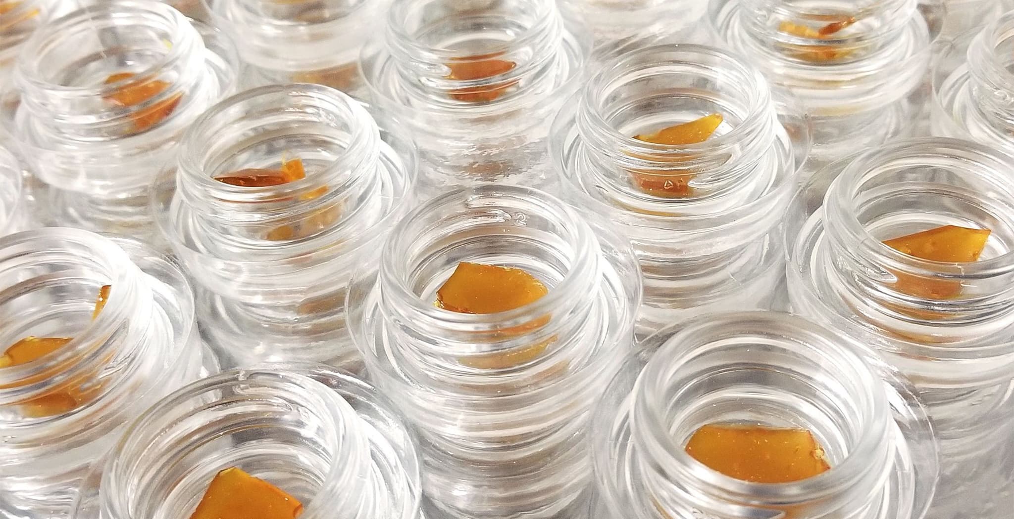 About Us - Verano Holdings