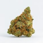 Zen Leaf Dispensary | Recreational & Medical Marijuana