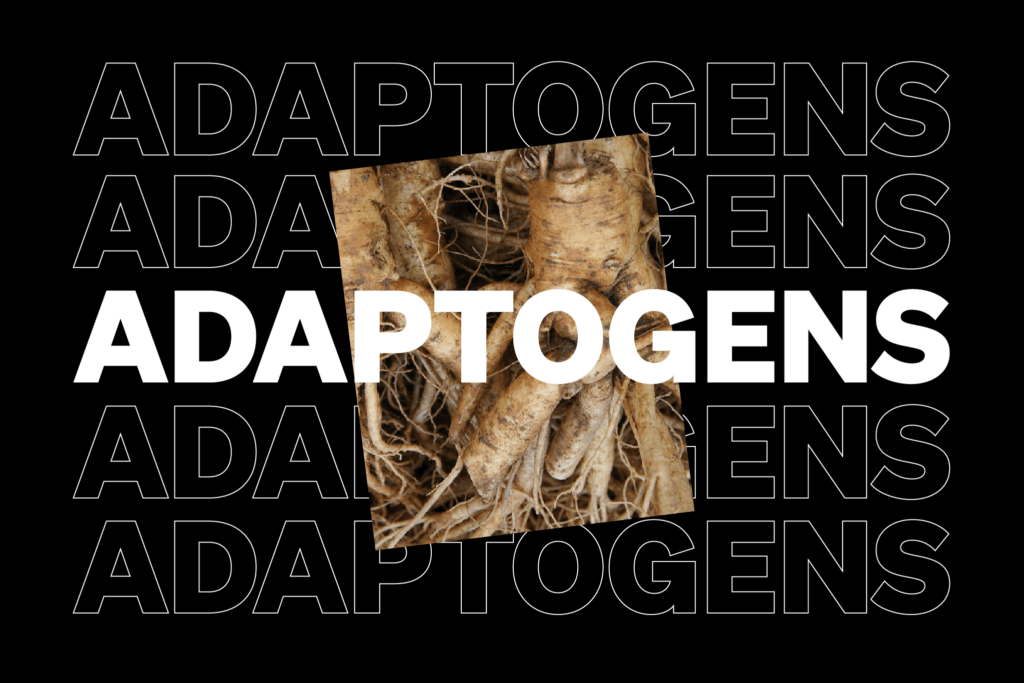 All About Adaptogens - Verano